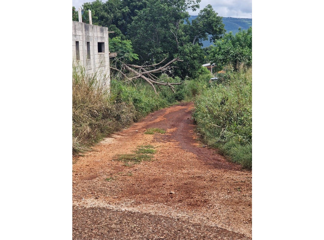 CHOCOLATE HOLE, CHOCOLITE HOLE, St. Elizabeth Parish Land for Sale ...