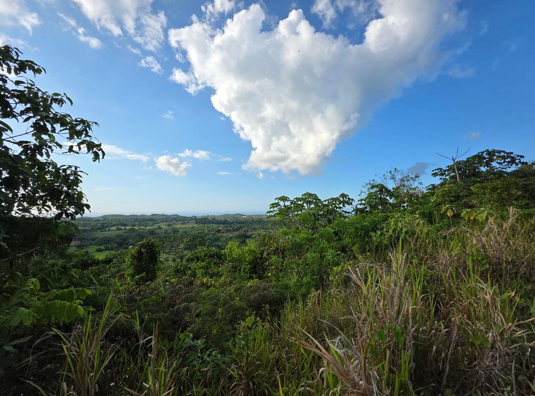 4 MINARD, Browns Town, St. Ann Parish Land for Sale - realtor.com