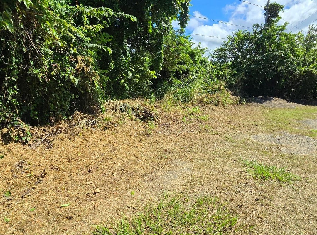 Lot 84 DUNCANS BAY THE COCKPIT, DUNCAN BAY, Trelawny Parish Land for ...