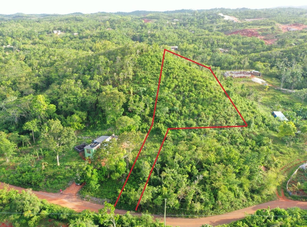 LAND PART OF FARM, Windsor Forest, Manchester Parish Land for Sale ...