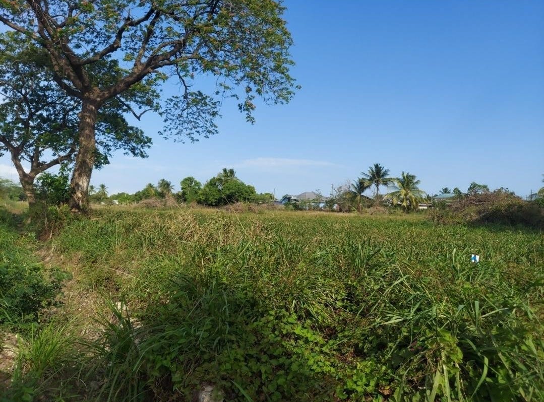 WILLOWDENE SPANISH TOWN, Spanish Town, Saint Catherine Parish Land for ...