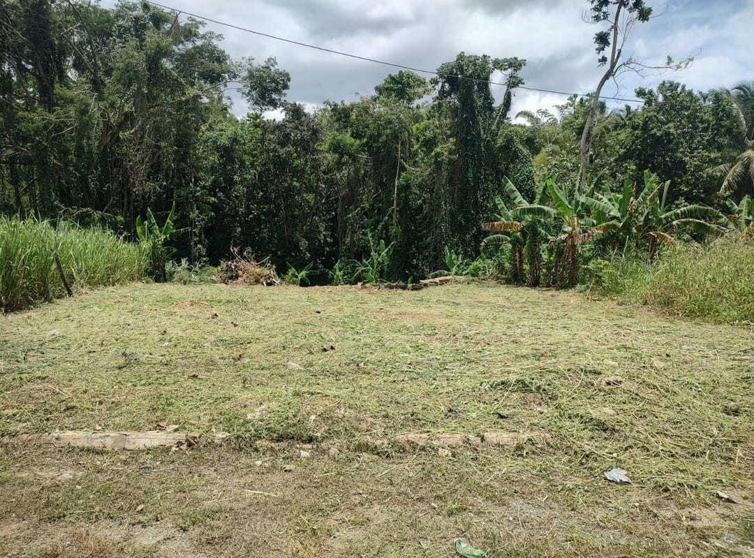 LINSTEAD, Linstead, Saint Catherine Parish Land for Sale - realtor.com