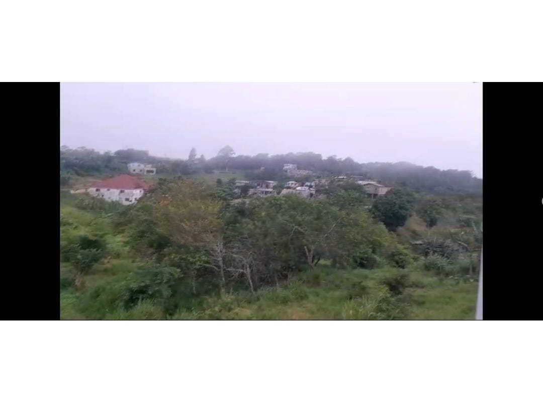 COLEYVILLE, Coleyville, Manchester Parish House for Sale - realtor.com