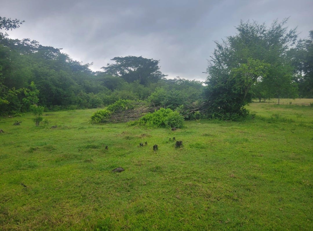 Last updated on : 06 Jan 2026