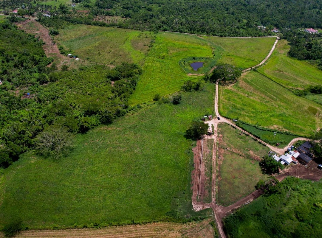 BOGUE, Bogue, St. Elizabeth Parish Land for Sale - realestate.com.au