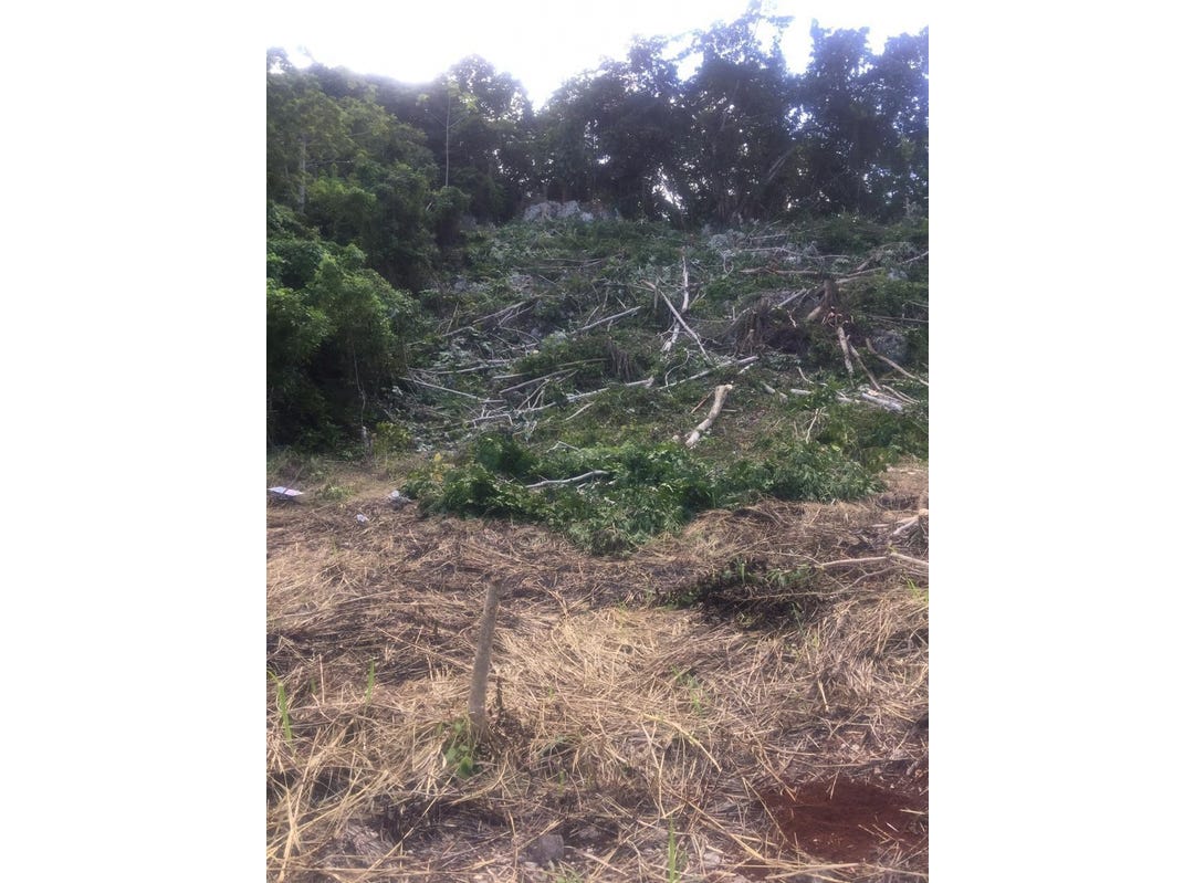 26 FOREST GLADE, OCEAN BOULE, Rio Nuevo, St. Mary Parish Land for Sale ...