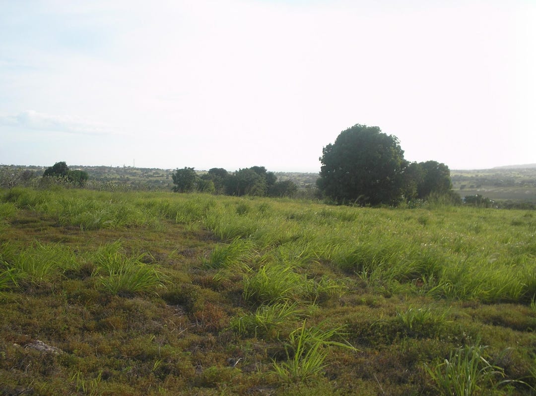 ROUND HILL, ST. ELIZABETH, Treasure Beach, St. Elizabeth Parish Land ...