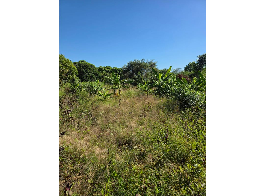 Last updated on : 10 Dec 2025