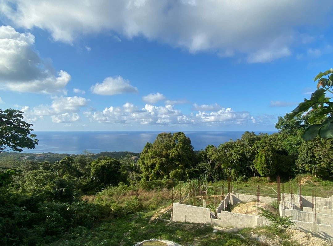 FRIENDSHIP GROVE, Friendship, Hanover Parish Land for Sale - RealEstate KH