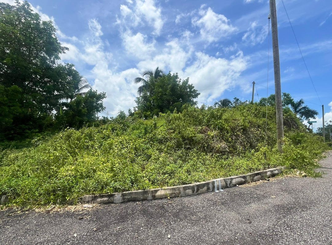 4XCW+4CQ, Church Rd, Tulloch, Jamaica, Linstead, Saint Catherine Parish ...