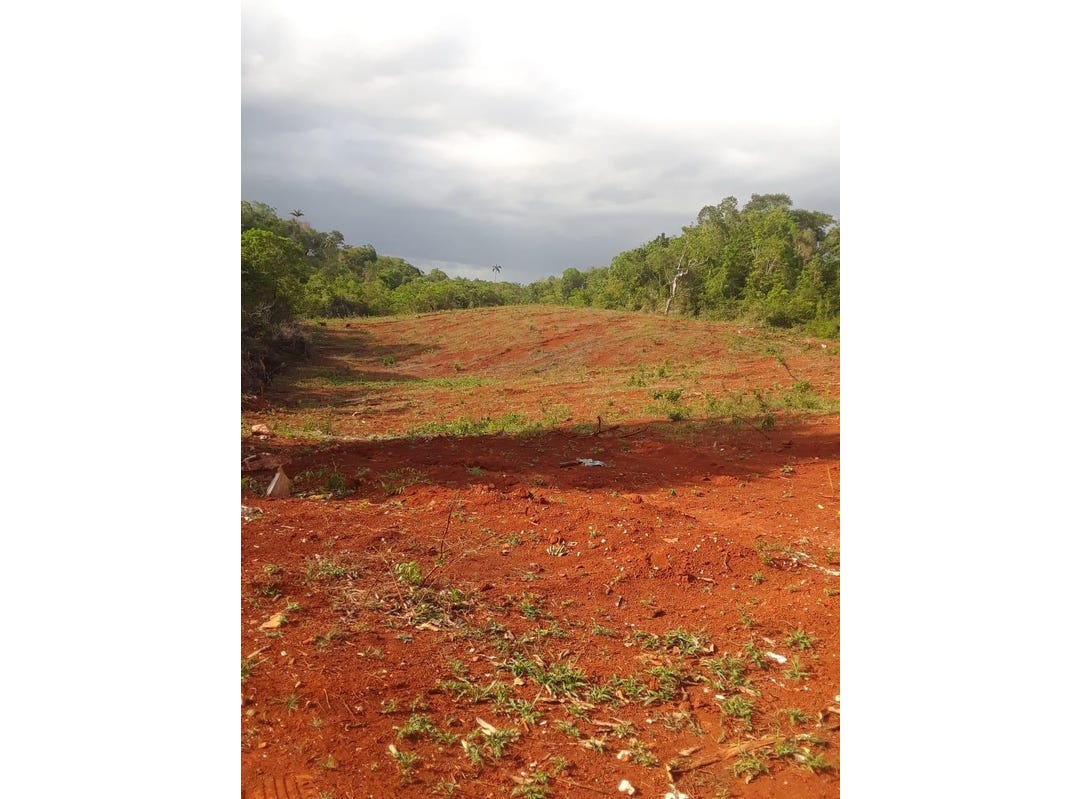 18 SPRING VALE, Spring Vale, Trelawny Parish Land for Sale - realtor.com