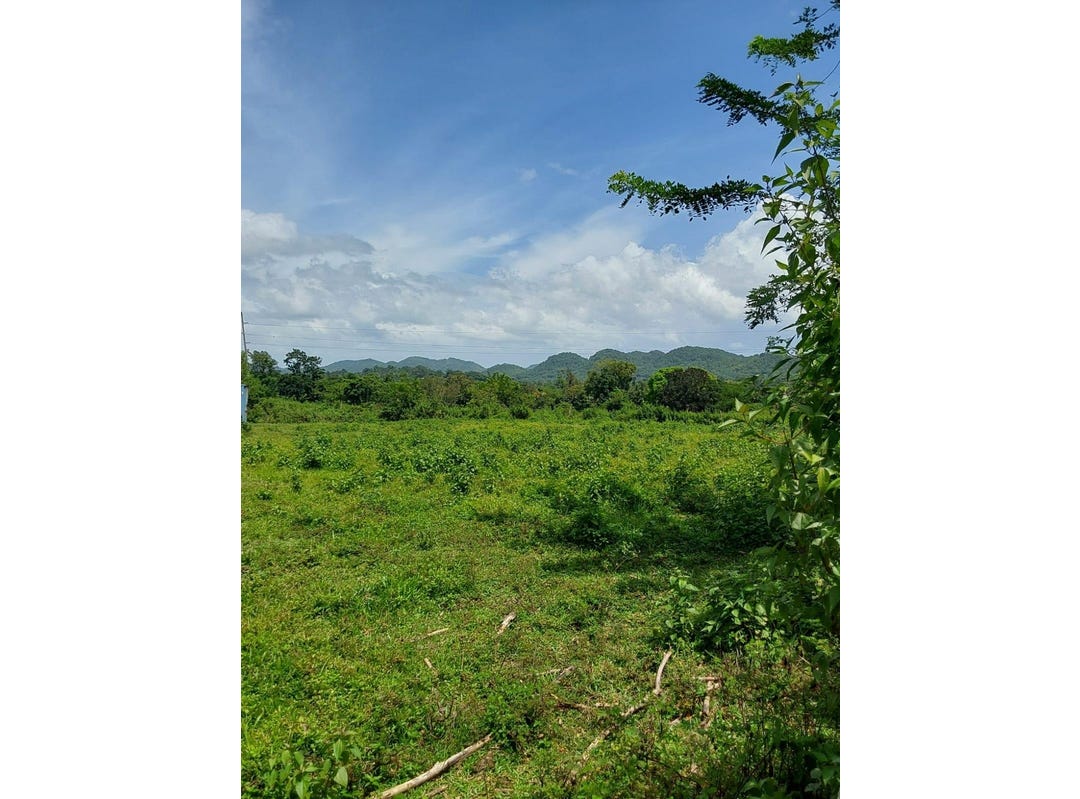 Lot 19 BURNT GROUND, RAMBLE, HAN, Ramble, Hanover Parish Land for Sale ...