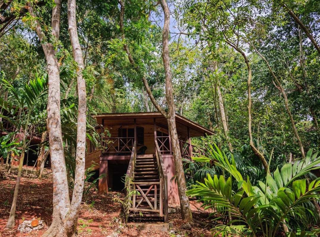 GREATER NEGRIL, WESTMORELAND, Spring Garden, Westmoreland Parish Hotel ...