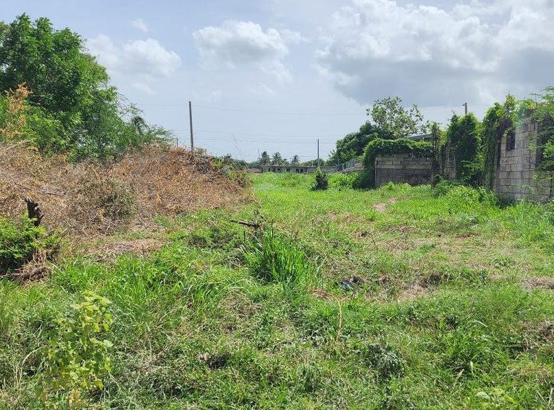 17 WICKHAM DRIVE, Golden Acres, St. Catherine Land for Sale - realtor.com