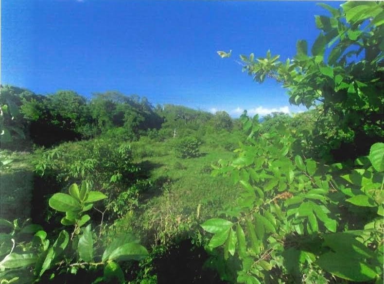 Arcadia DUNCANS, TRELAWNY unit: 1, Arcadia Pen, Trelawny Parish Land ...