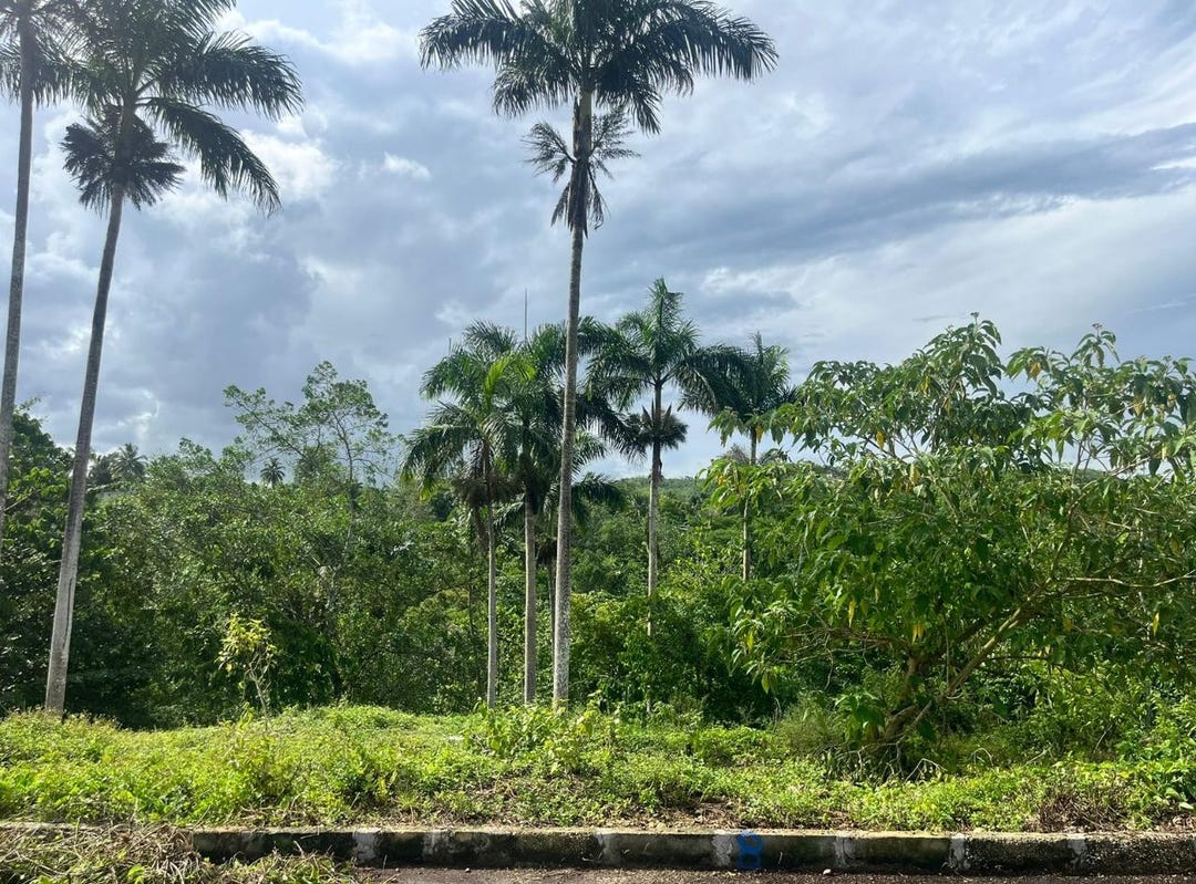 4XCW+4CQ, Church Rd, Tulloch, Jamaica, Linstead, Saint Catherine Parish ...