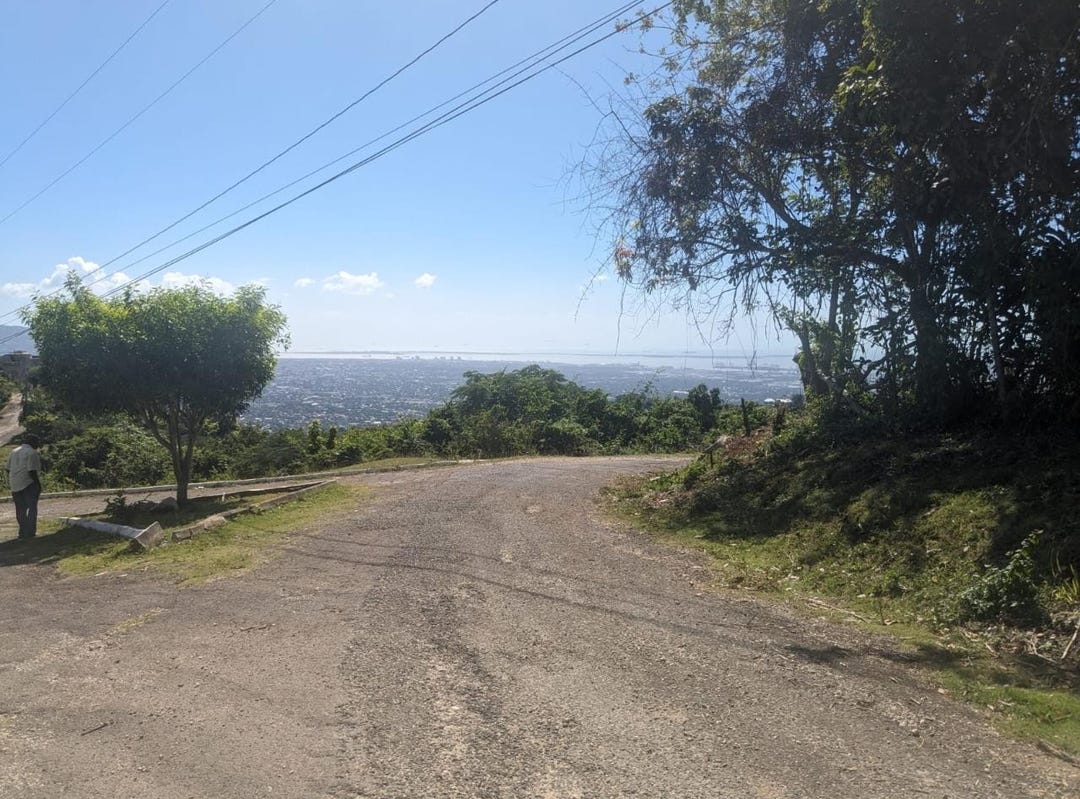 MOUNT SALUS, 2687, St. Andrew Parish Land for Sale - realtor.com