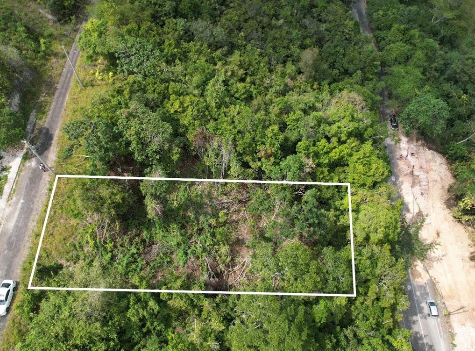 MINARD ESTATE, 690, St. Ann Parish Land for Sale - realtor.com