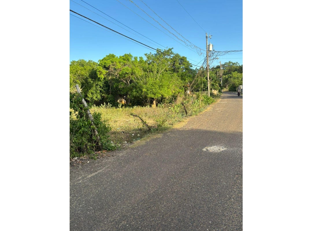 COATES PEN/MAY PEN, May Pen, Clarendon Land for Sale - realtor.com