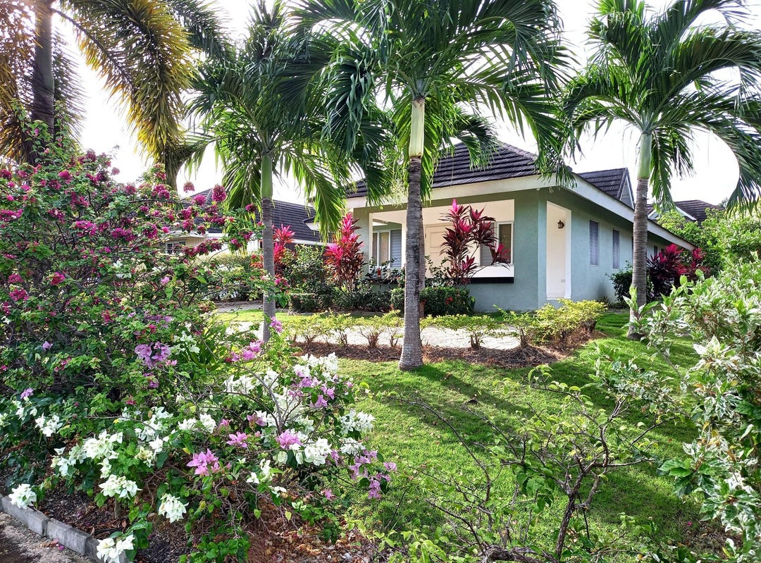 462 CASSAVA AVE COOLSHADE, St. Ann's Bay, St. Ann Parish House for Rent ...