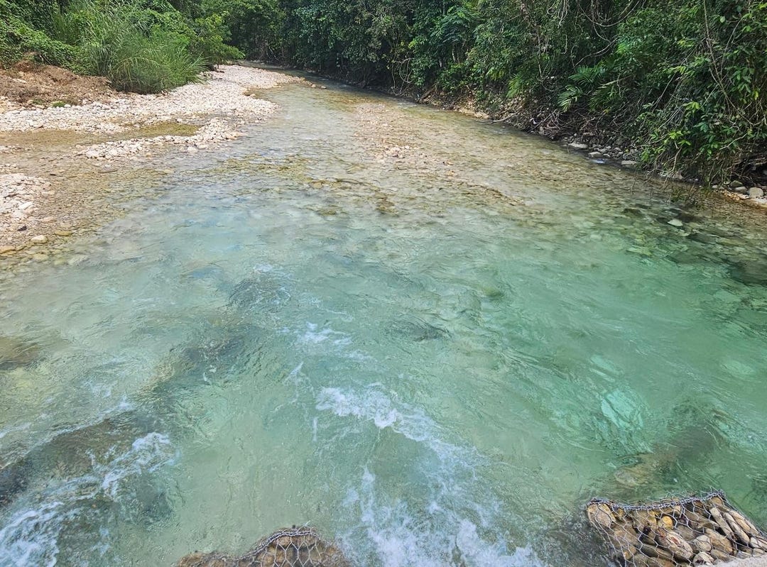 WOODSTOCK ESTATE BUFF BAY, Buff Bay, Portland Parish Land for Sale ...