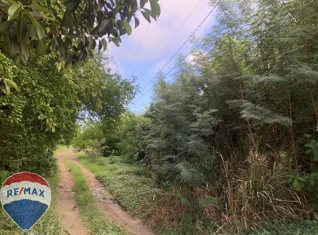 Belle Vue, Gros Islet, Gros Islet Land for Sale - realtor.com