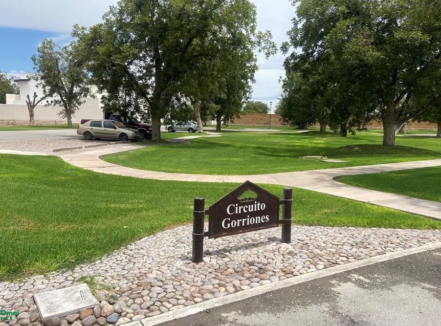 Gorriones , Las Villas, Torreón, Coahuila de Zaragoza, Torreon ...