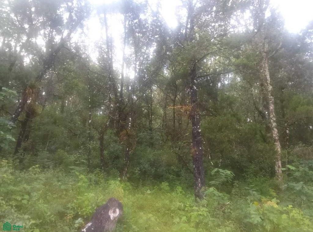 Last updated on : 14 Jan 2026