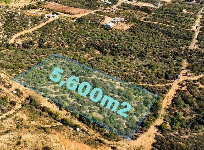 Lomas de San Antonio ., San Antonio de Las Minas, Ensenada, Baja ...