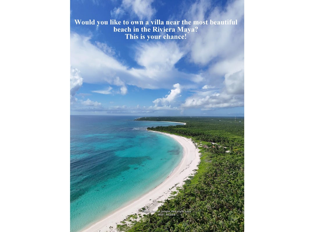Avenida Las Palmas, Tulum Municipality, Quintana Roo House for Sale ...