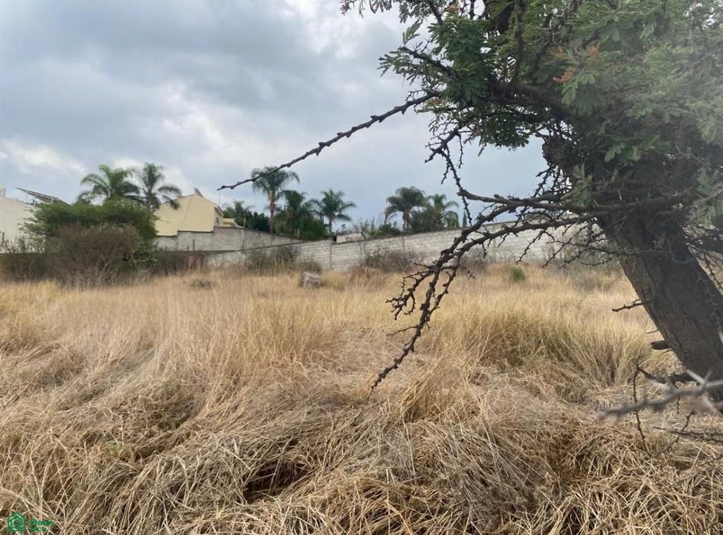 Bosques de Versalles SN, Colinas del Bosque 2a Sección, Corregidora, Querétaro, El Pueblito ...