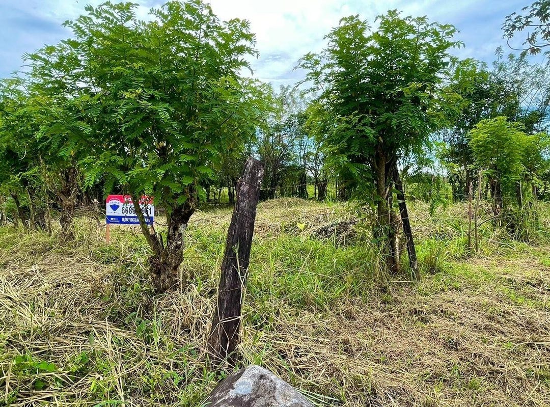 LA CONCEPCIÓN, BUGABA unit: Lote 1, Bugaba, Chiriqui Land for Sale ...