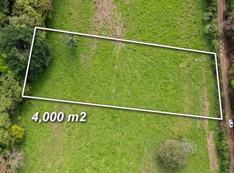 CHIRIQUÍ, DOLEGA, EL HIGO DE COCHEA, Dolega, Chiriqui Land for Sale ...