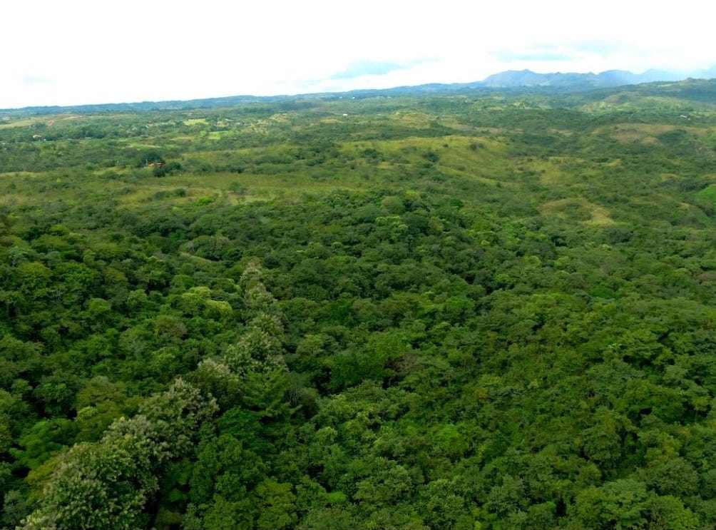 Hacia Cerro Gordo 7-7, San José, Provincia de Panamá Oeste, Panama, San ...