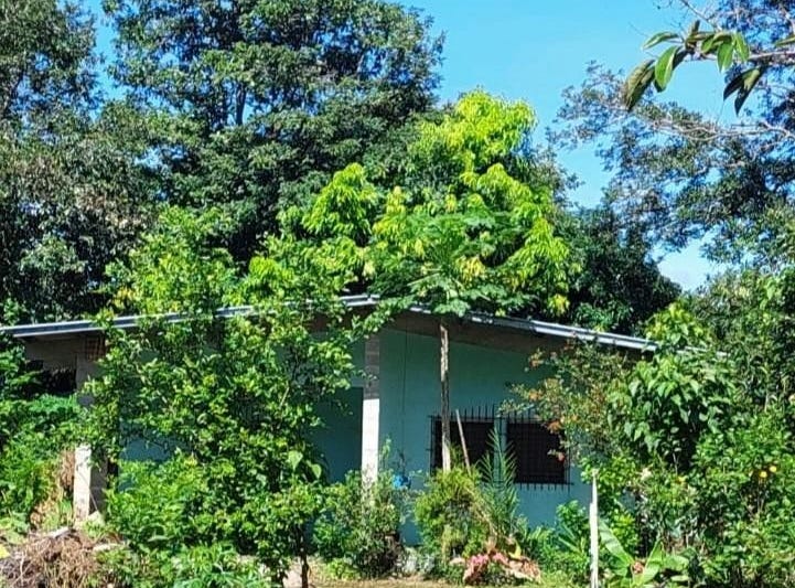 COCHEA SECTOR ANGUSTURA, David, Chiriqui Land for Sale - realtor.com