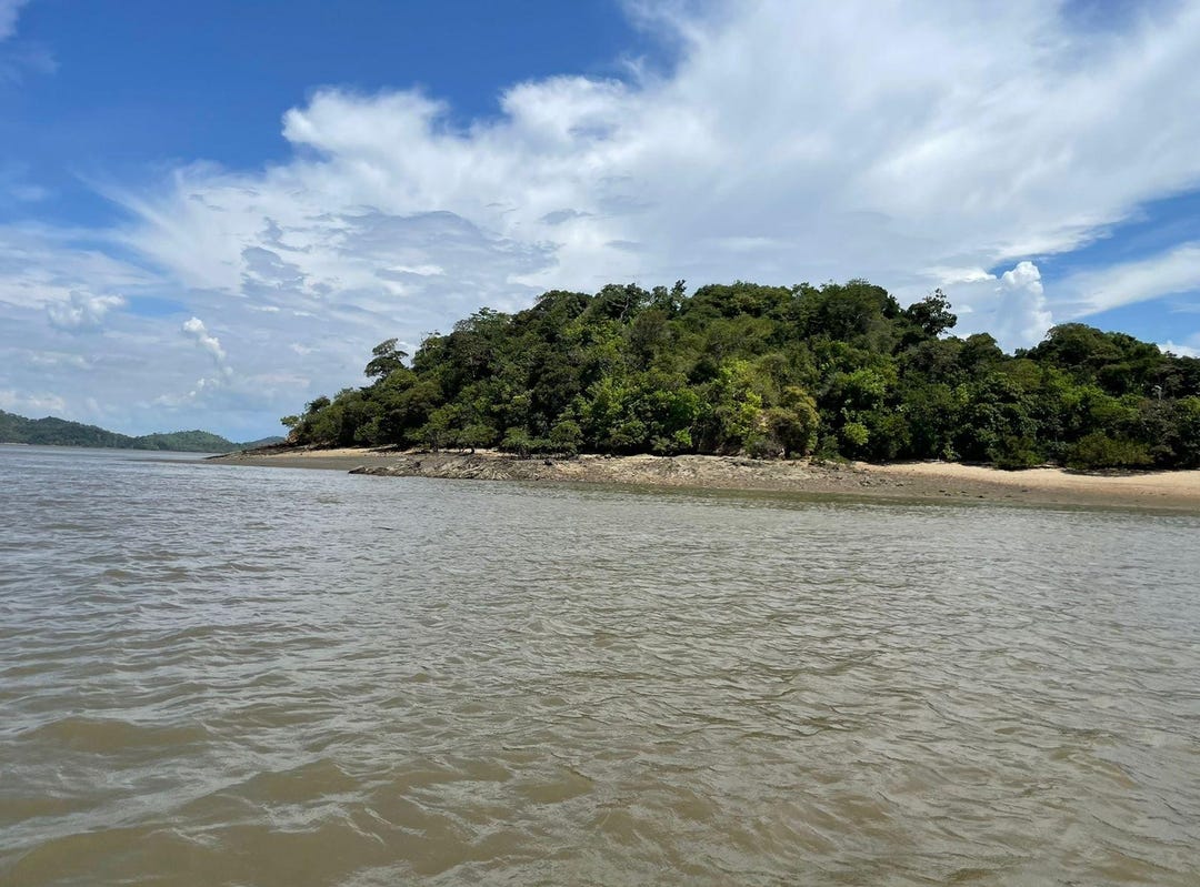 LA PALMA, DARIEN, Chepigana, Darién Province Land for Sale - realtor.com