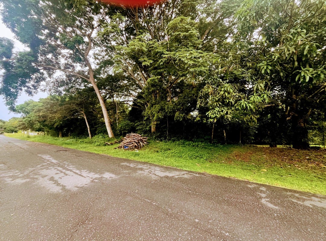 4733 SANTA CLARA IGLESIA EPISCOLPAL DE PANAMA unit: 01, Antón, Cocle ...