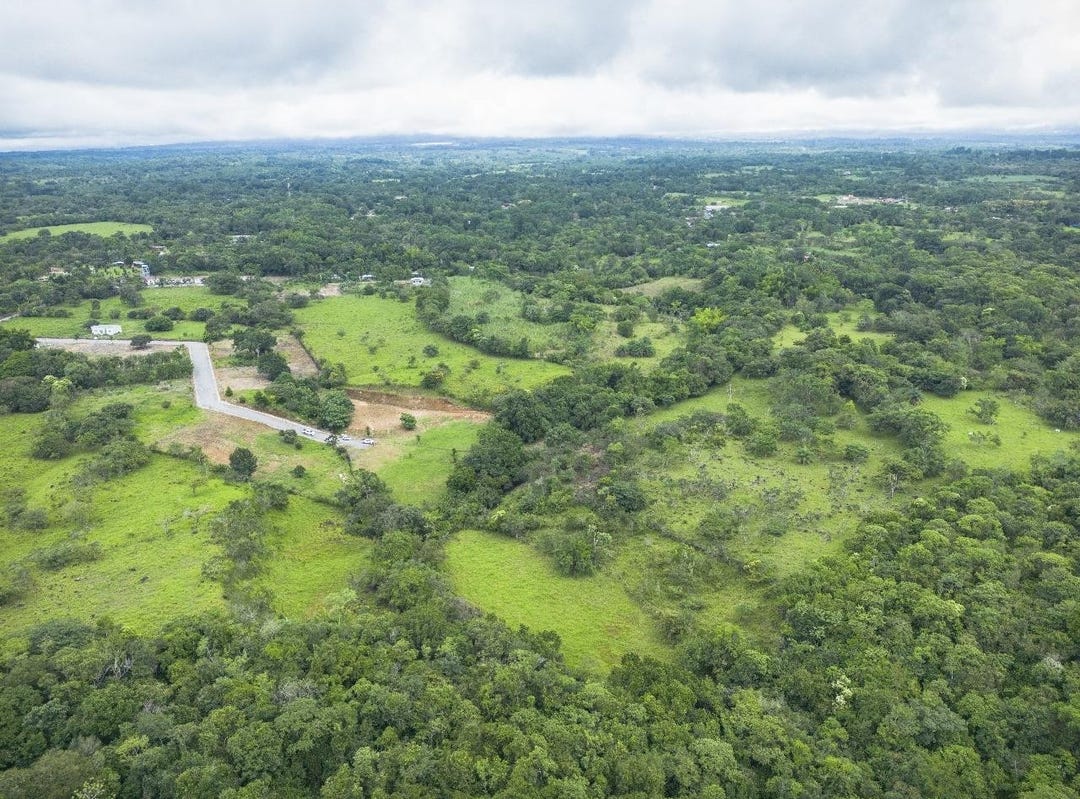 POTRERILLOS ABAJO, CHIRIQUI, Dolega, Chiriqui Rural for Sale - realtor.com