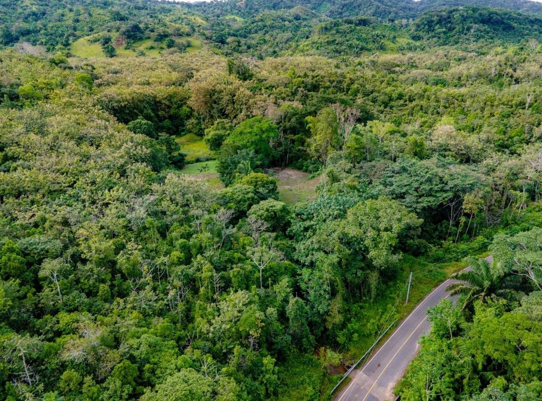 COCLÉ, PENONOMÉ, TOABRÉ, EL CUCHARO, Penonomé, Cocle Rural for Sale ...
