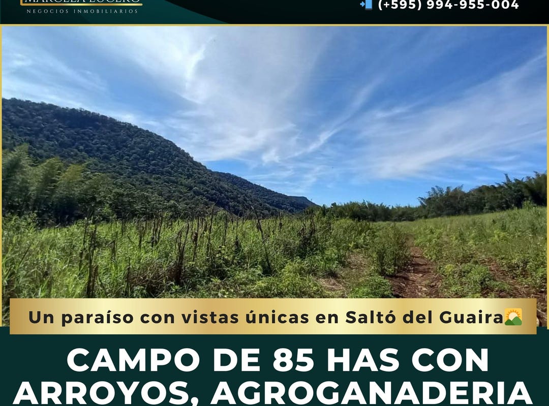 San Gervacio, San Gervacio, Guairá Department Land/Development for Sale ...