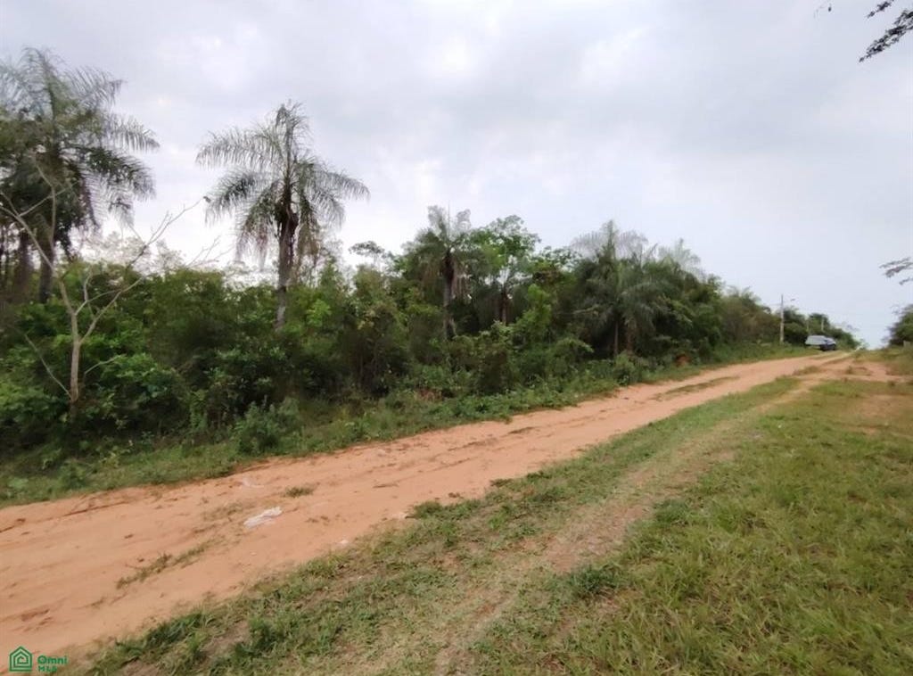 ype cañy y puesto oveja , Altos, Cordillera, Altos, Cordillera ...