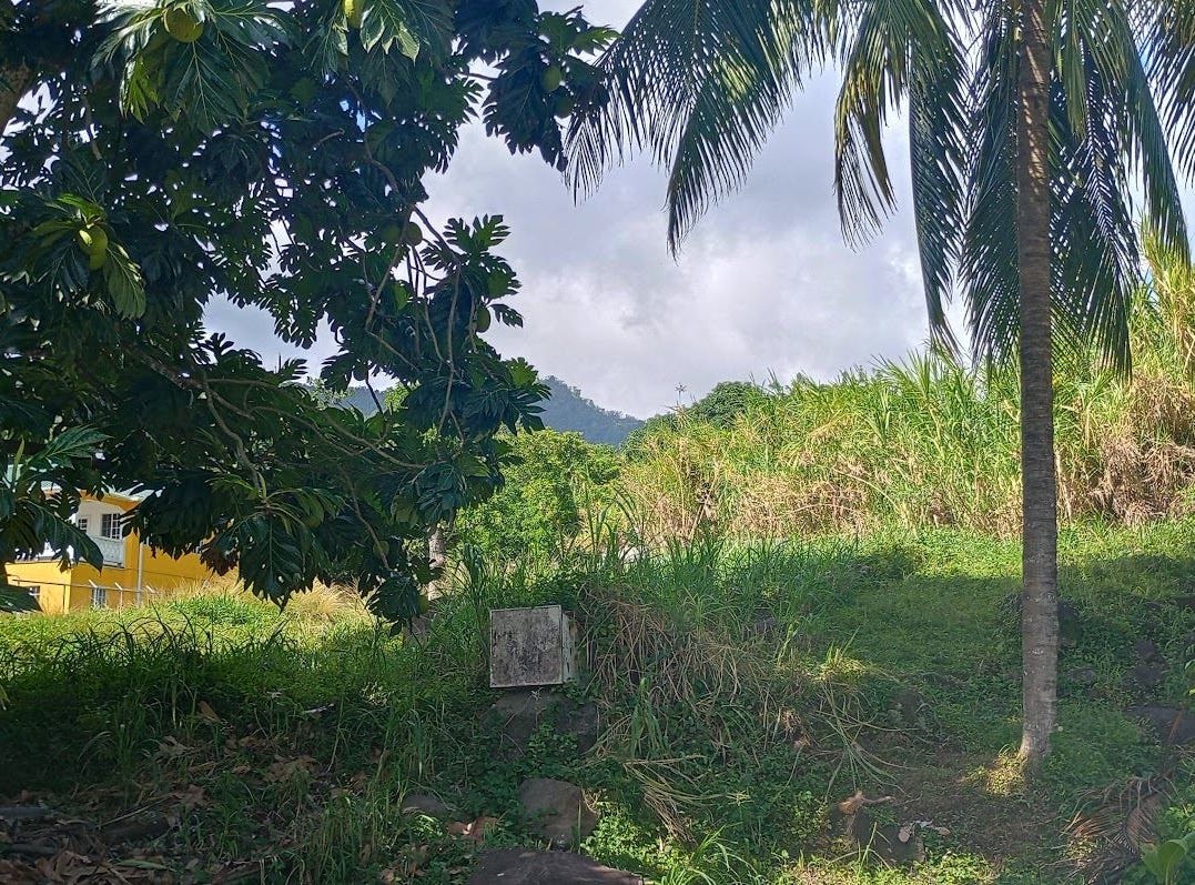Layou, St. Vincent, SVG, Layou, St. Vincent, Layou, Saint Patrick Land ...
