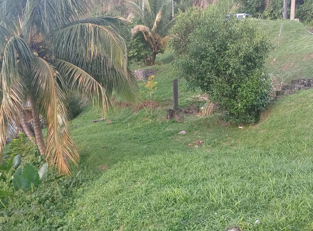 SVG homes and land, caribbean real estate, homes in svg, houses in st ...