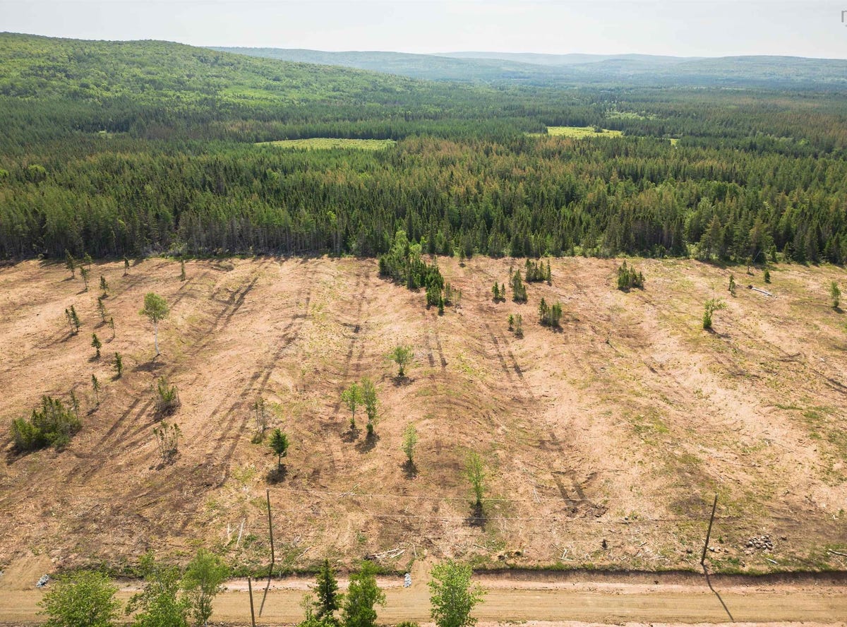 Last updated on : 01 Jan 2026