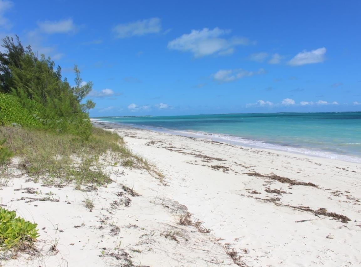 POINCIANA DRIVE, Bahama Palm Shores, Central Abaco House for Sale ...