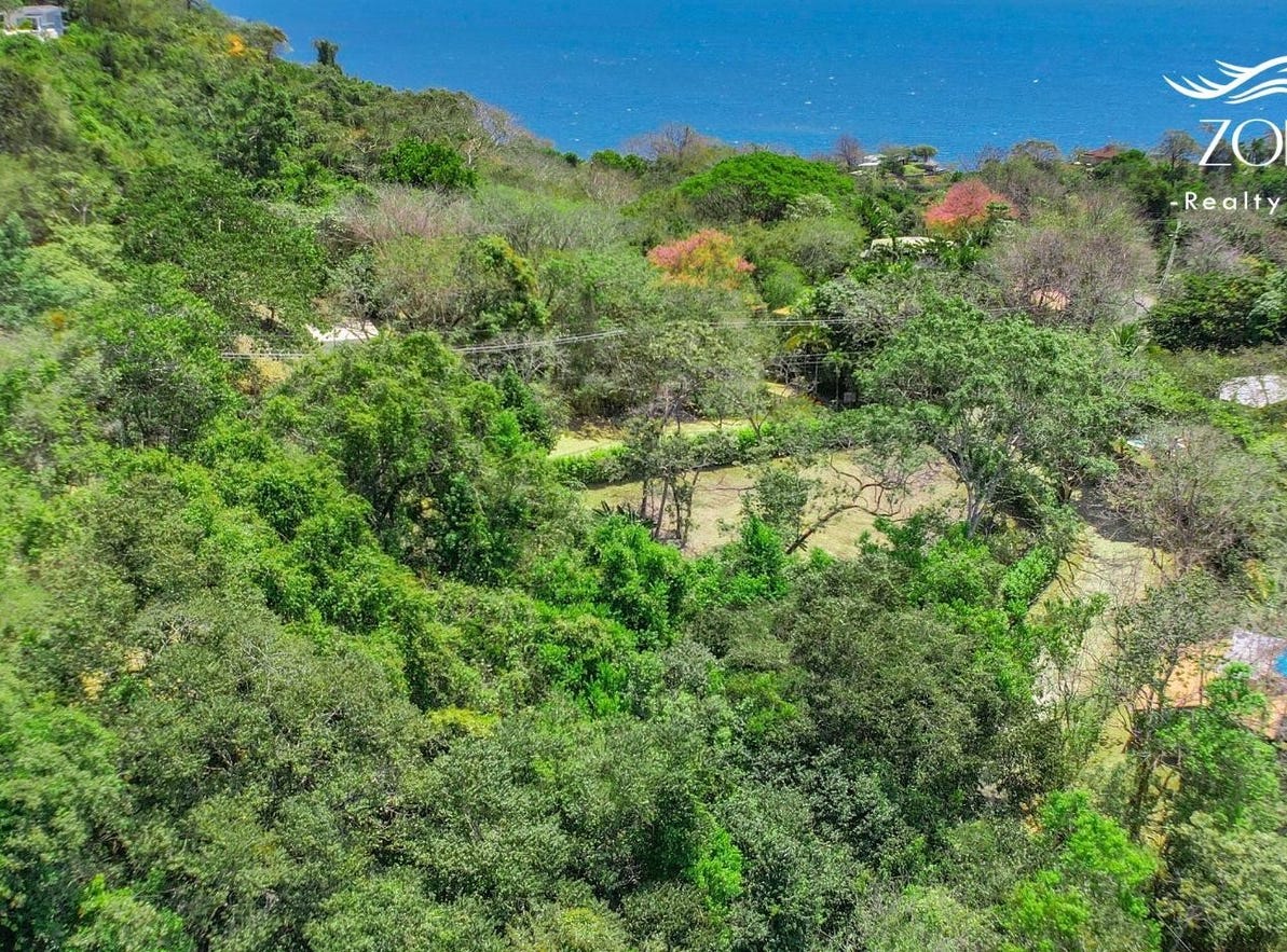 MW4M+G96, Provincia de Puntarenas, Santa Fe, Playa Montezuma, Costa ...