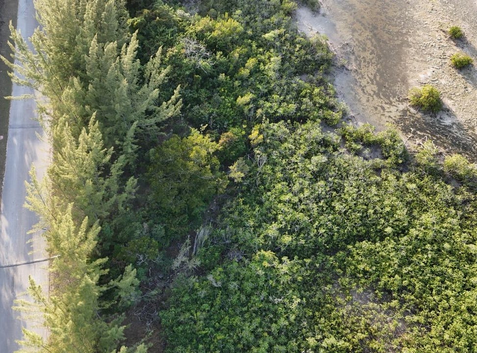 XHVJ+FX5, Bacardi Road, Nassau, The Bahamas, Nassau / New Providence ...