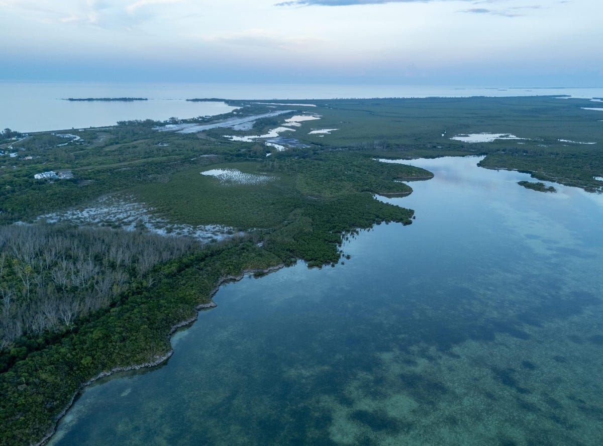 Last updated on : 20 Jan 2026