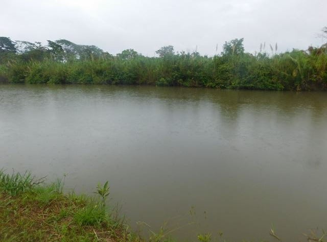 Check with agent, Mullins River, Stann Creek District, Mullins River ...