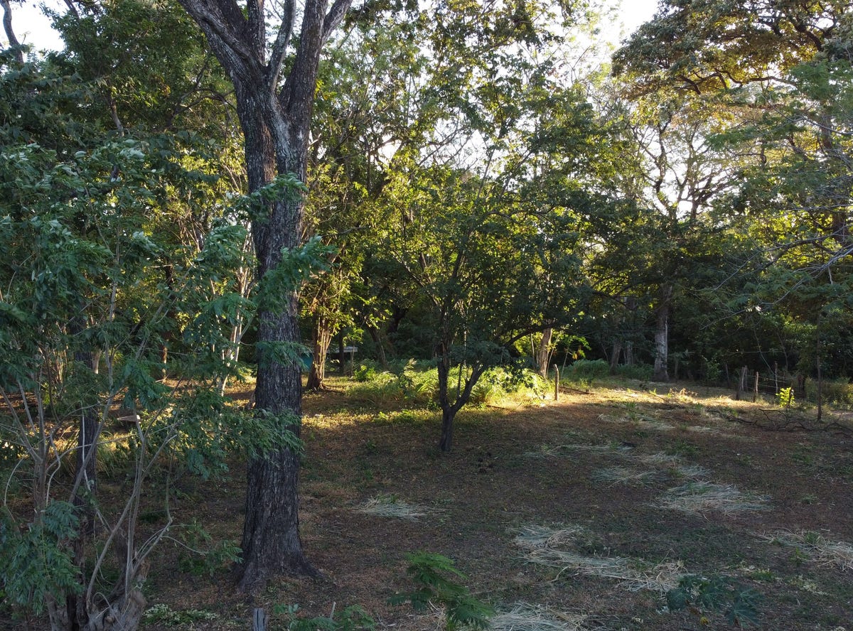 Last updated on : 13 Jan 2026